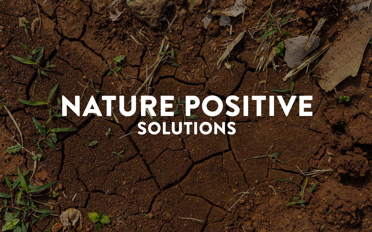 Nature-Positive Solutions | Food Systems & Biodiversity